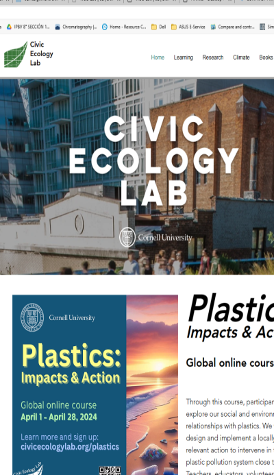 WDD 230 | 02 | Design Principles